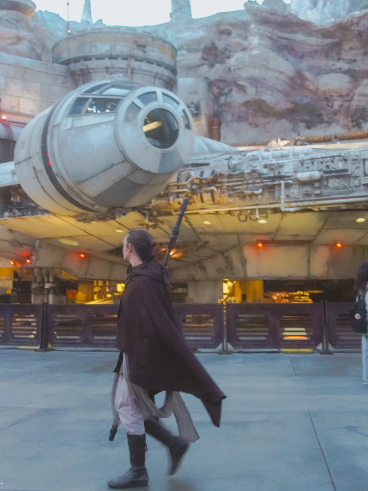 【2025年最新】カリフォルニア ディズニーランド・リゾートのおすすめアトラクションをレポート！｜tabimuse